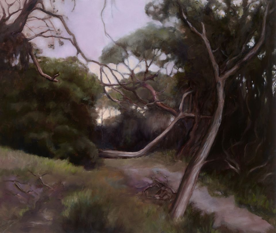 Finalist - WYNNE PRIZE 2016